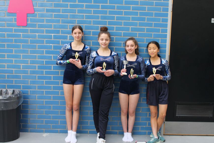 Trampolining Success - News - Mill Hill County High School